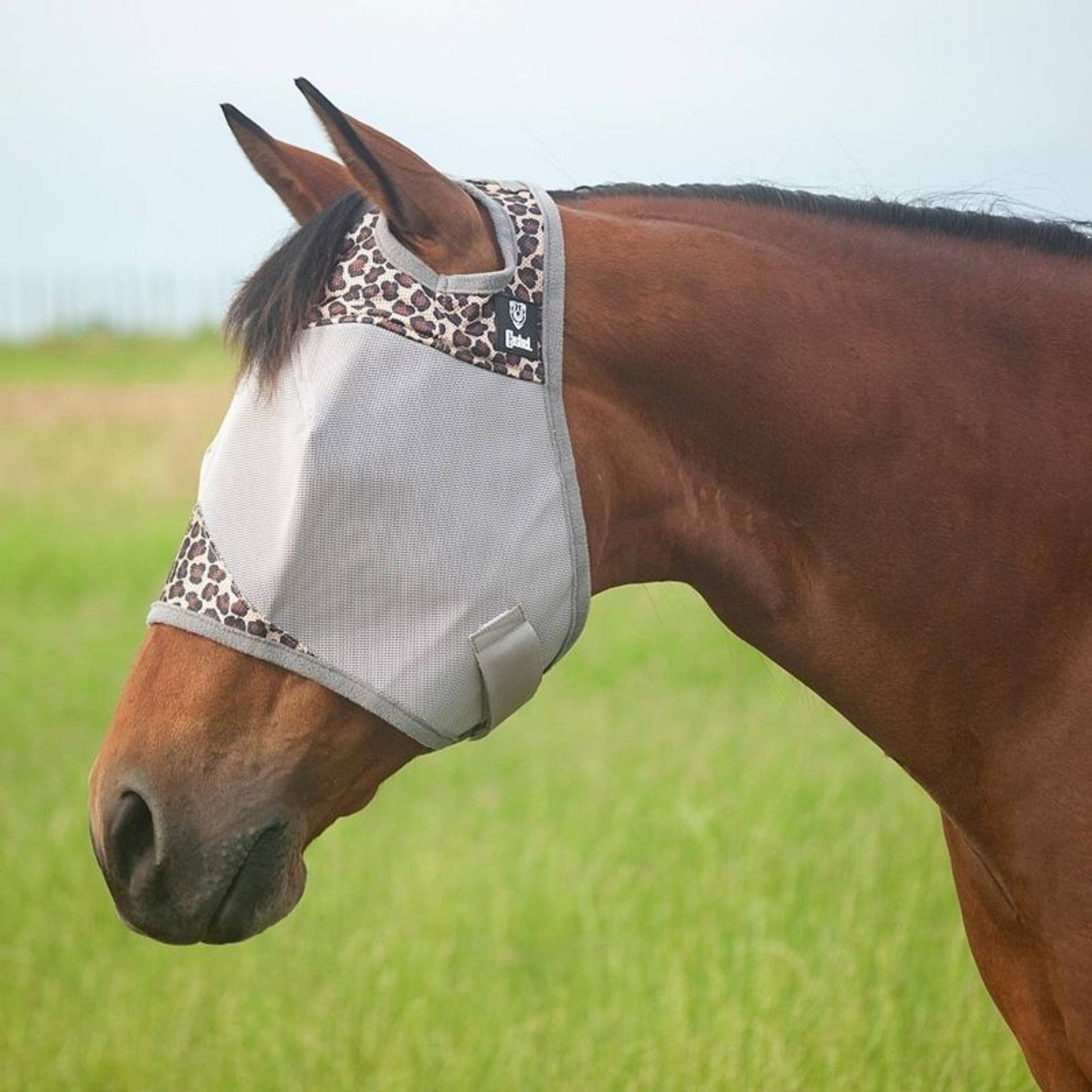 Cashel Crusader Fly Mask- Standard– Pet Supplies