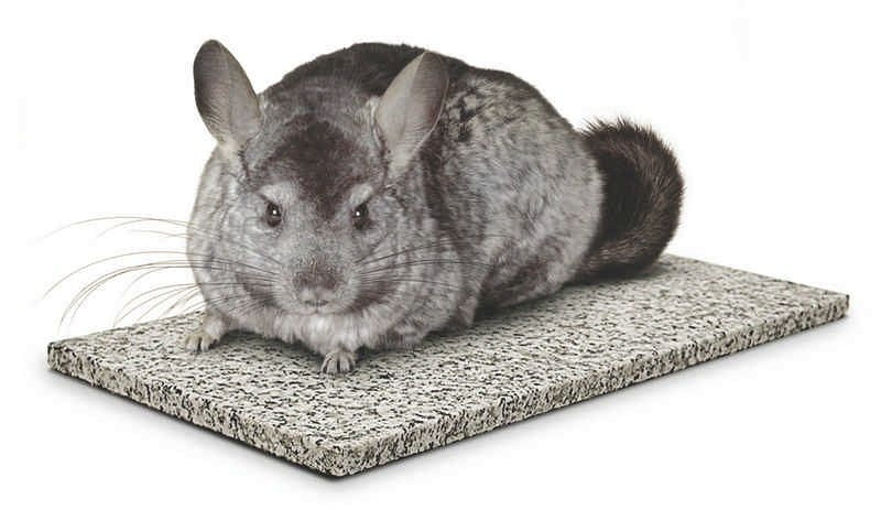 Chin Chiller - Cooling Granite 0.5 x4.25 x0.75 Gry– Pet Supplies